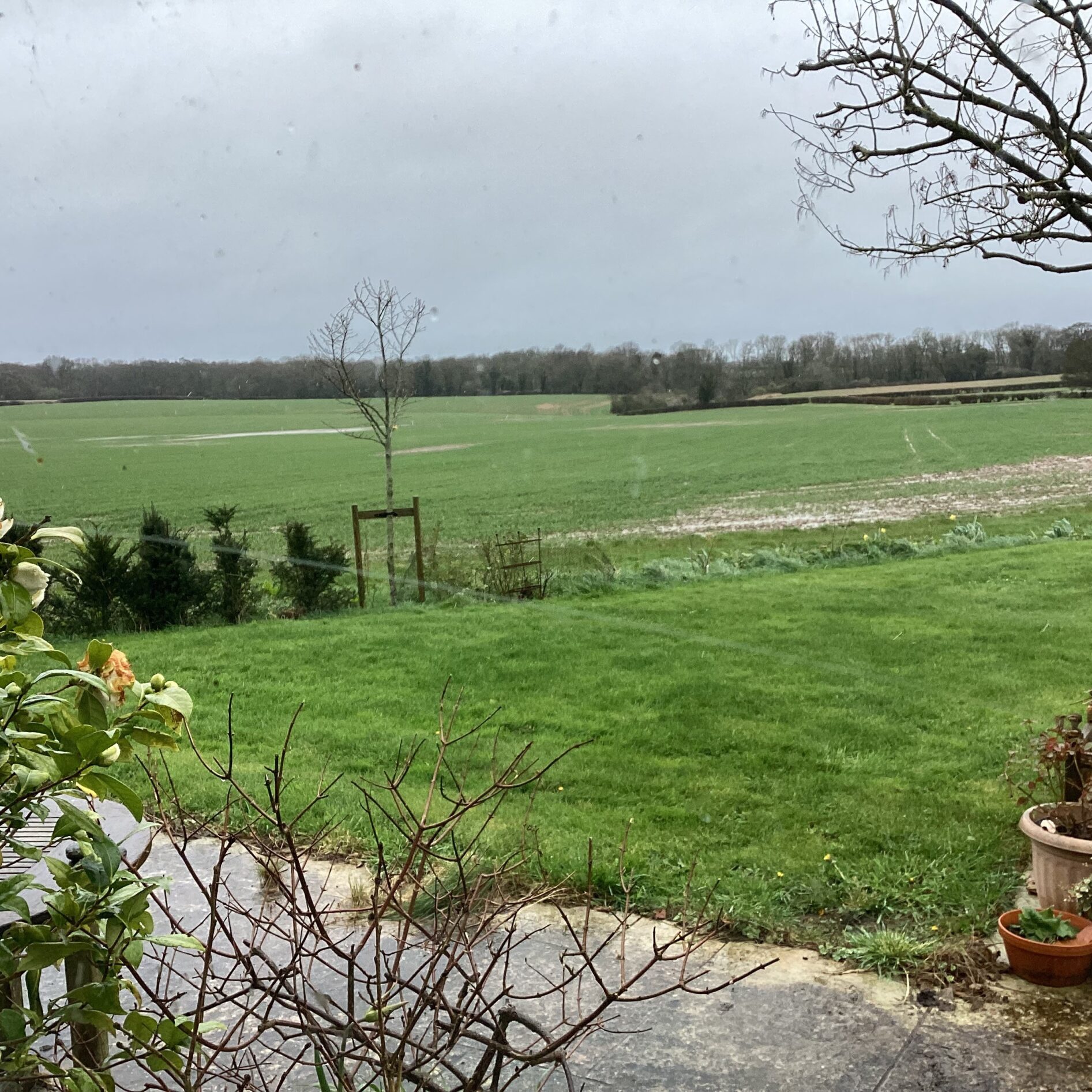 View from my window | Prep School Warwickshire | The Kingsley School